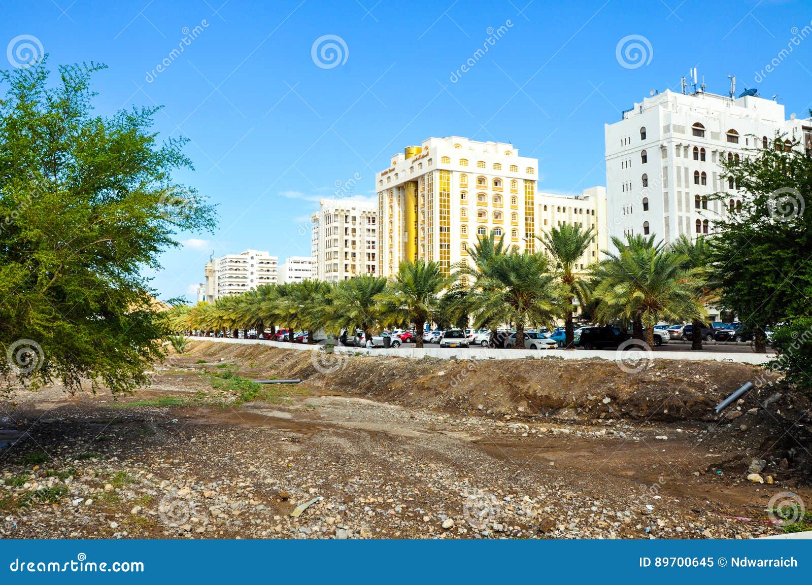 A Row of Building and Dates Trees Stock Image - Image of flat, golden ...