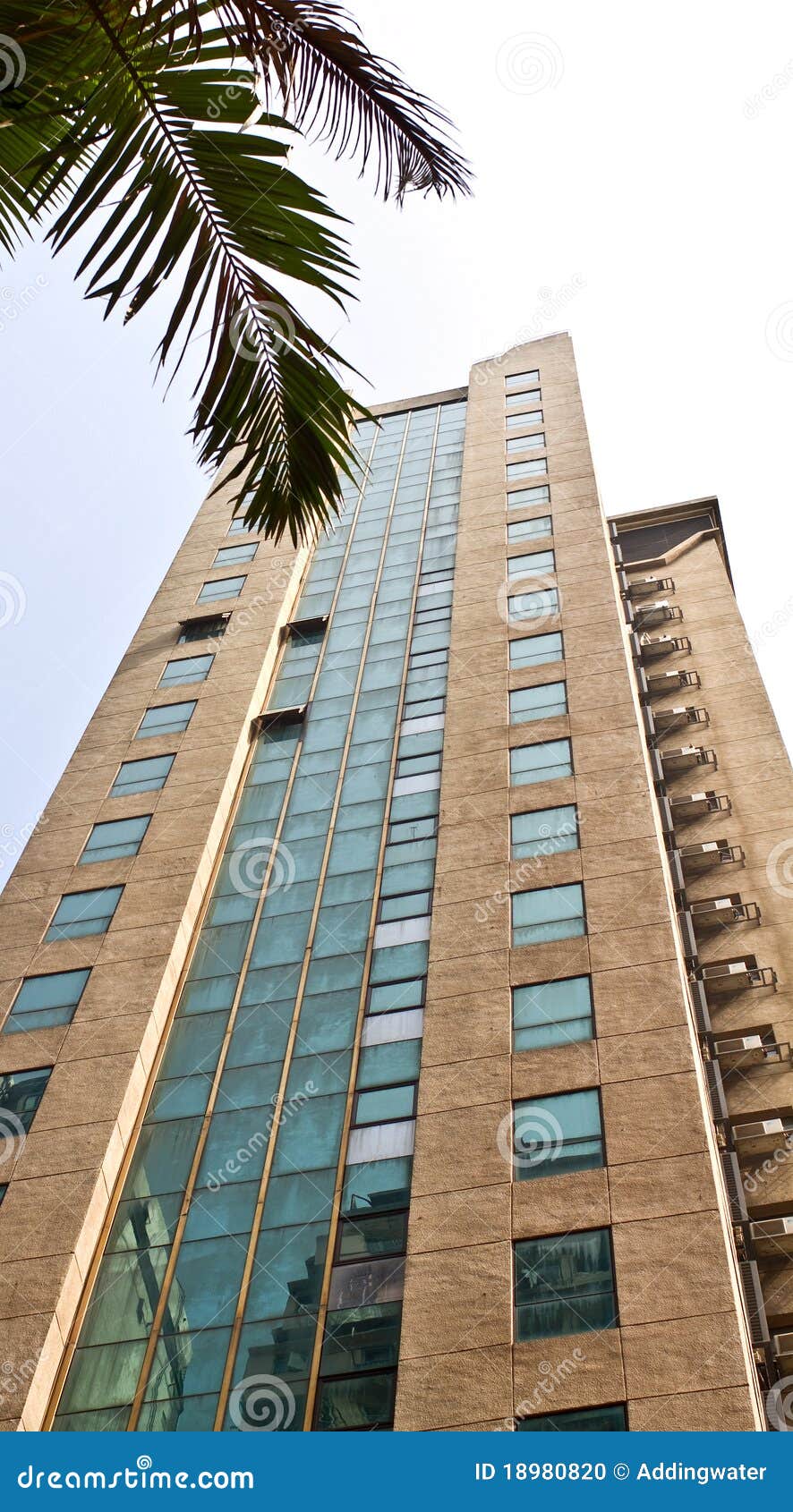 Skyscrapers with Green Plant Stock Photo - Image of scene, business ...