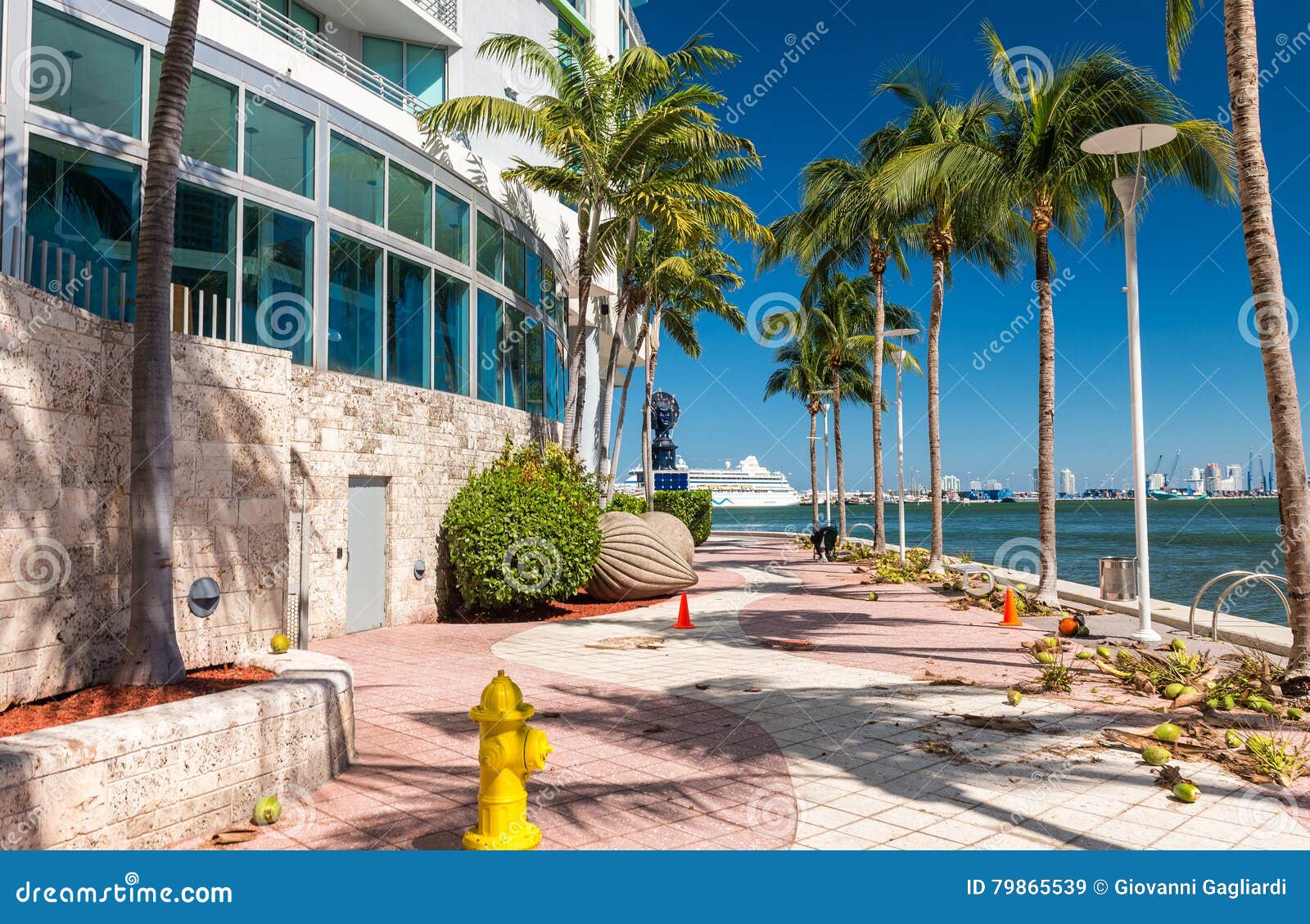 Skyscrapers of Miami. Beautiful City Skyline Stock Image - Image of ...