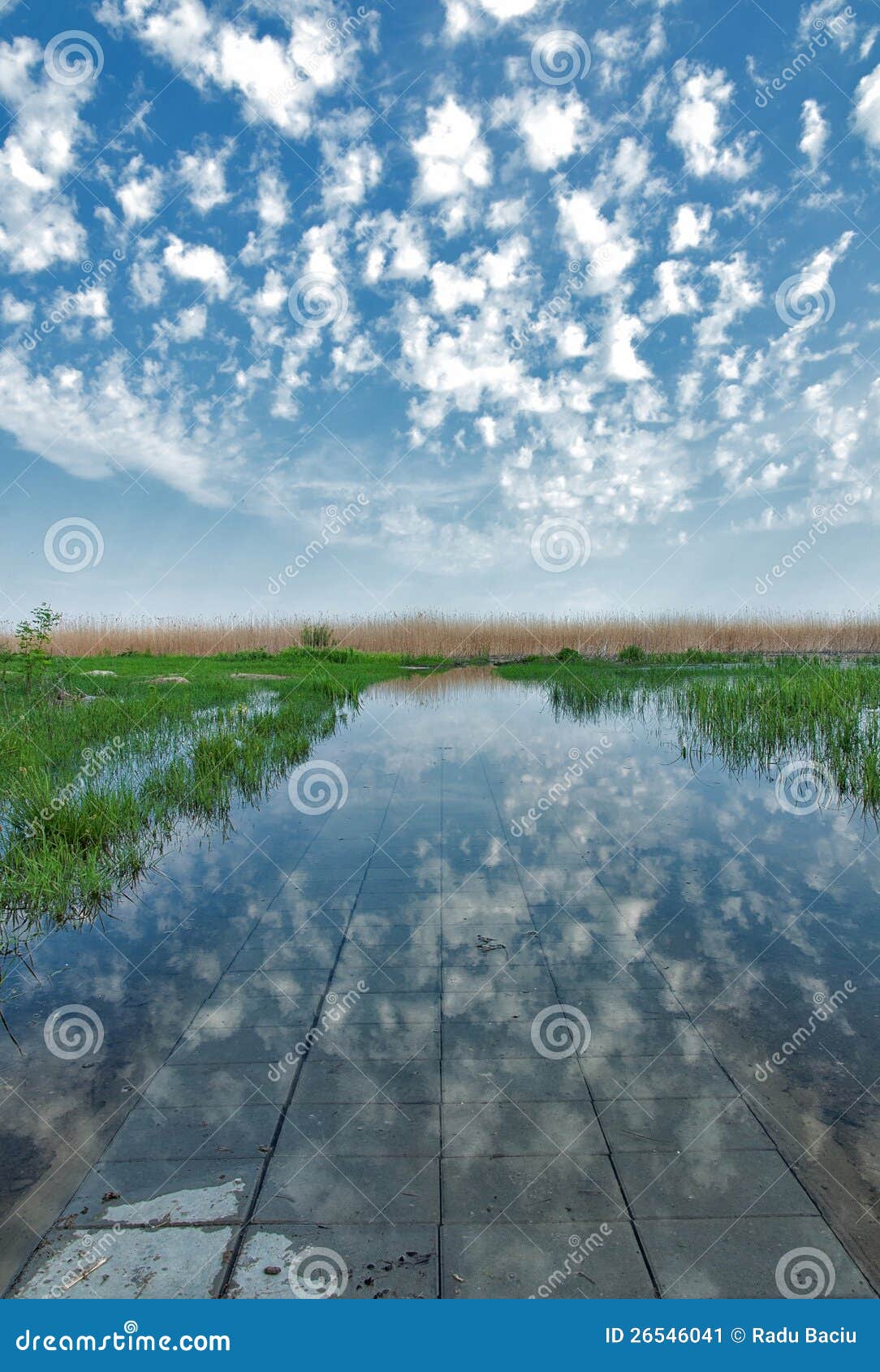 Pathway Uniting Earth Stock Photos - Free & Royalty-Free Stock Photos ...