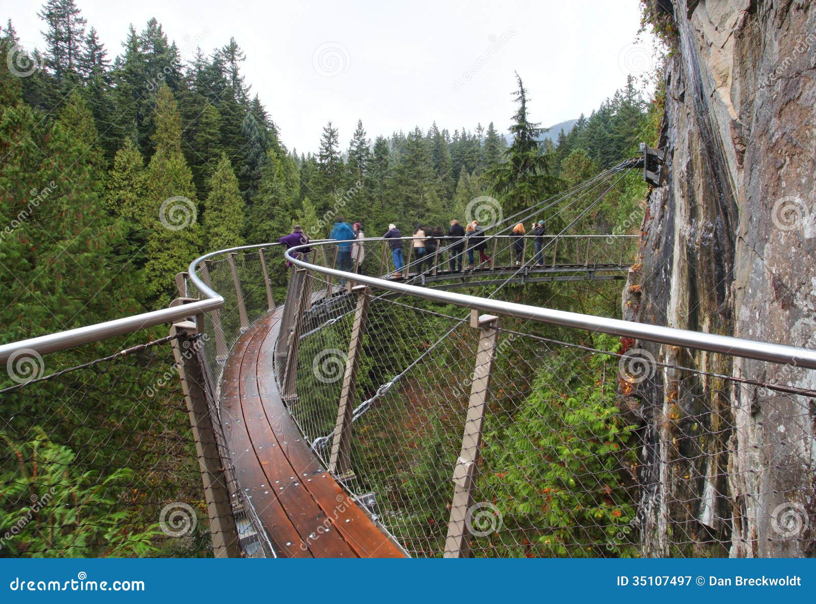Skywalk above forest editorial photography. Image of vancouver - 35107497