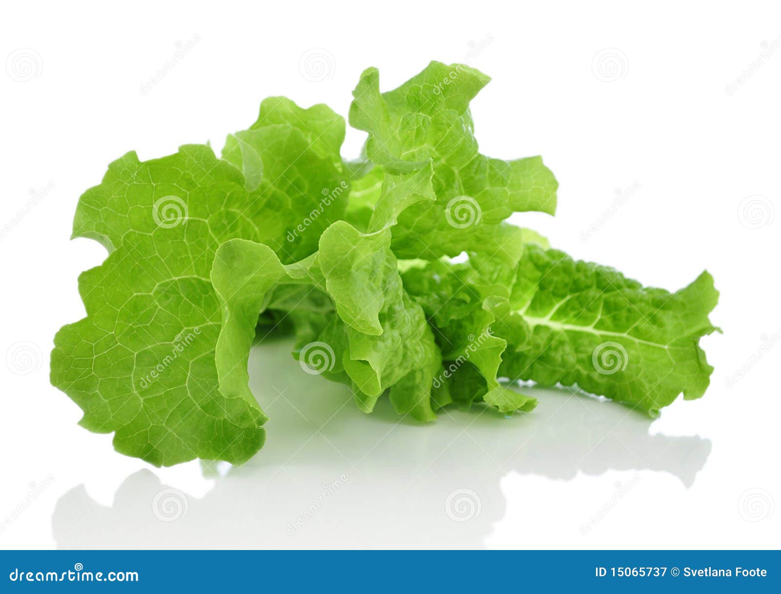 Sla stock afbeelding. Image of organisch, trillend, plantaardig - 15065737