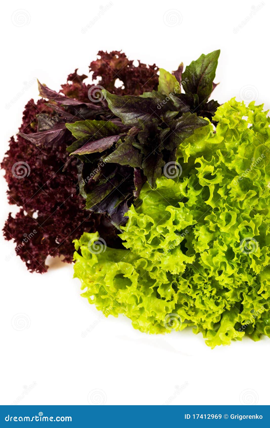 Sla stock afbeelding. Image of plantaardig, veganistisch - 17412969