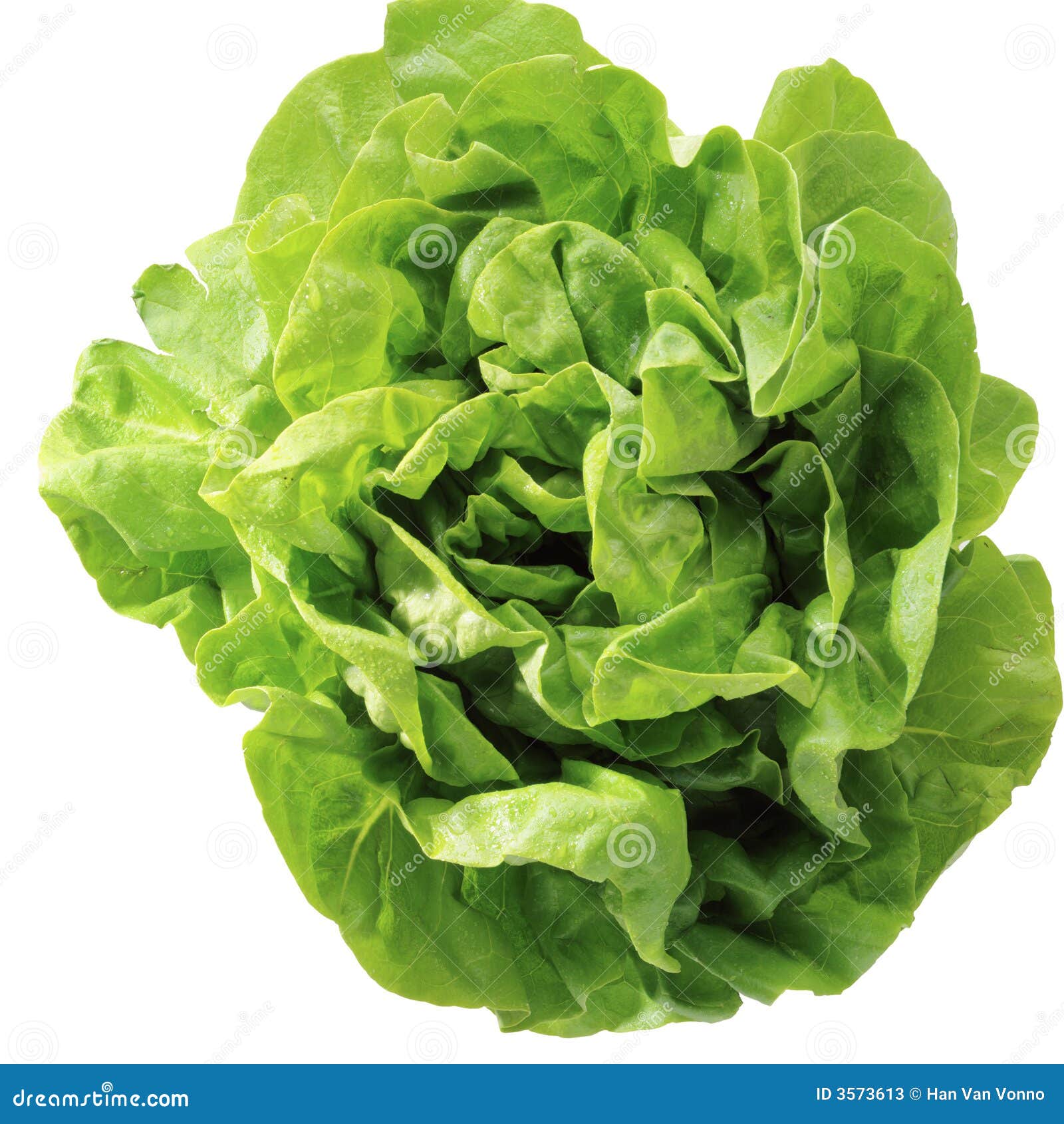 Sla stock afbeelding. Image of vezel, eten, groen, vetvrij - 3573613