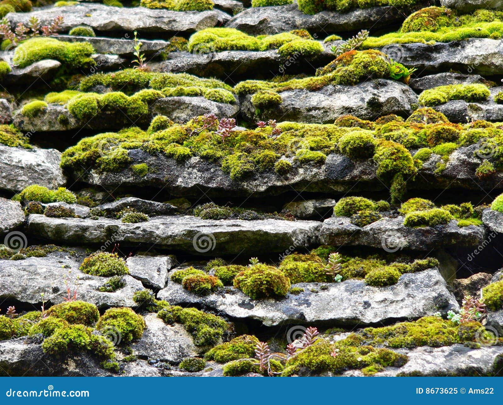 Slabs and moss stock image. Image of roof, moss, stone - 8673625