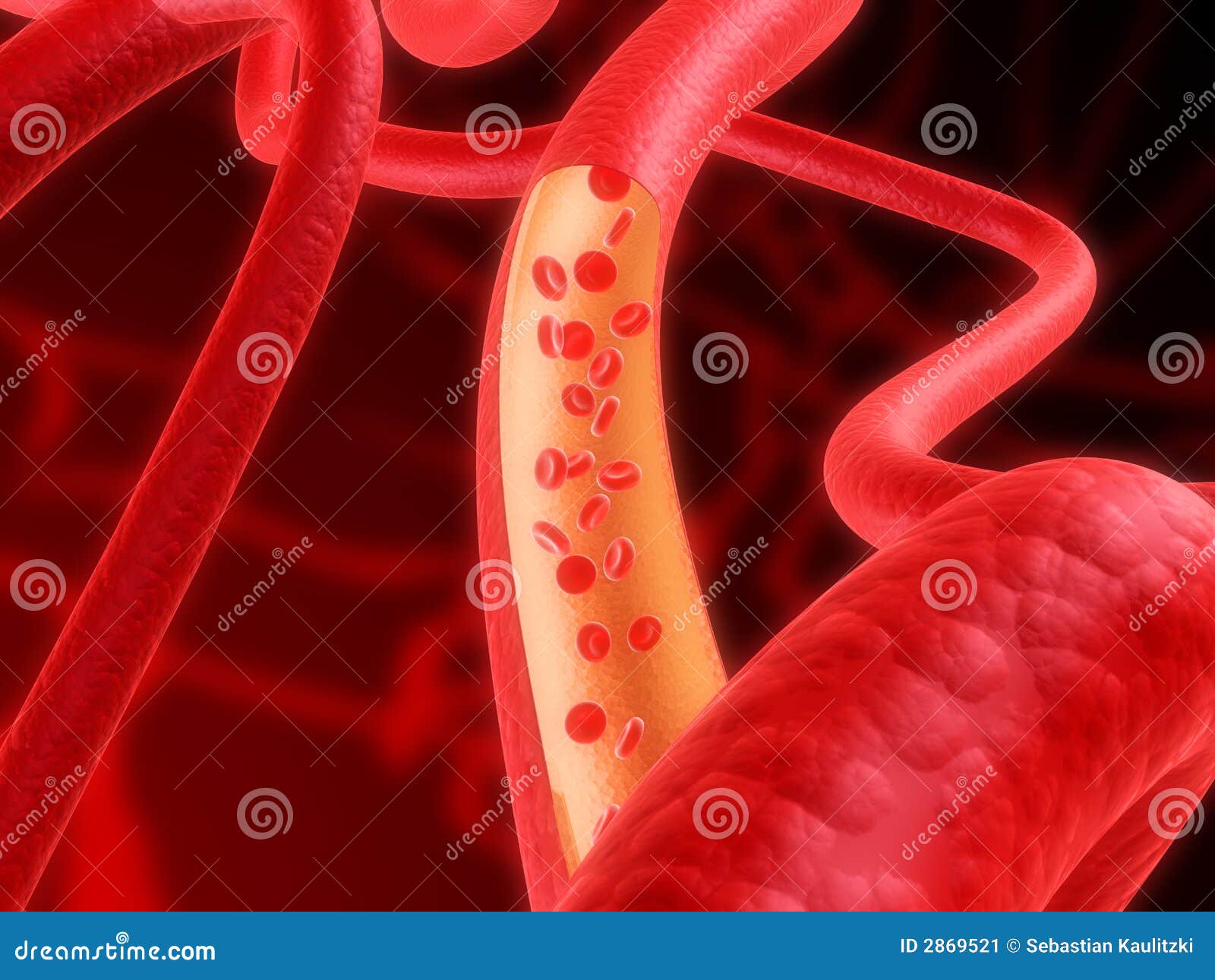 Slagader stock illustratie. Illustration of medisch, rijkdom - 2869521