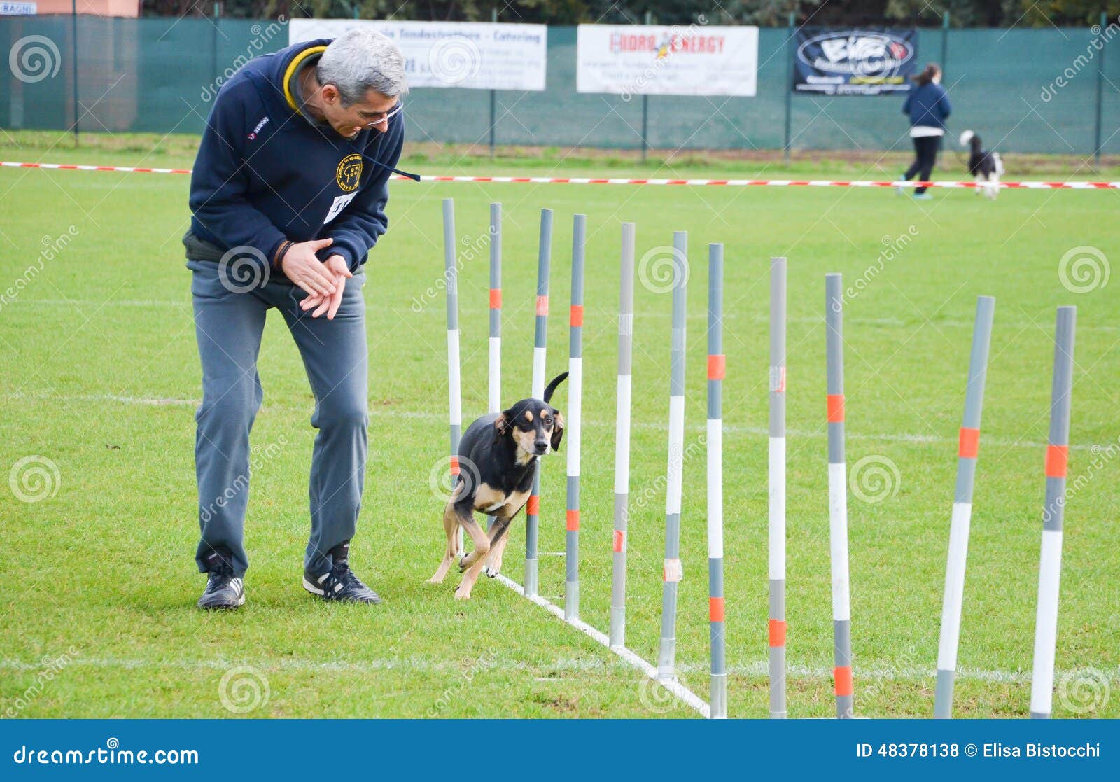 Slalom - agility dog editorial stock photo. Image of starving - 48378138