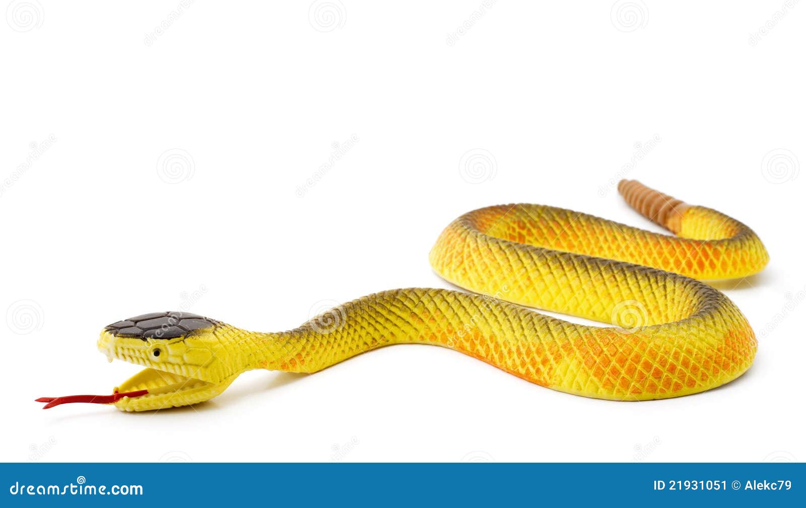 Slang stock afbeelding. Image of tong, slang, achtergrond - 21931051