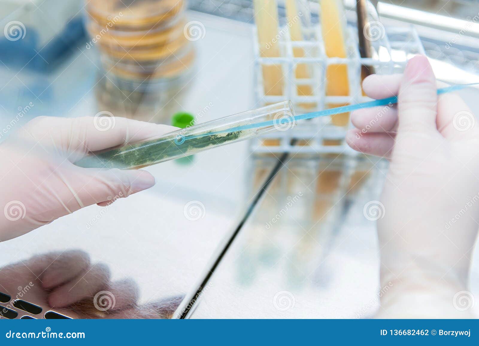 Slant tube and loop stock photo. Image of tube, loop - 136682462