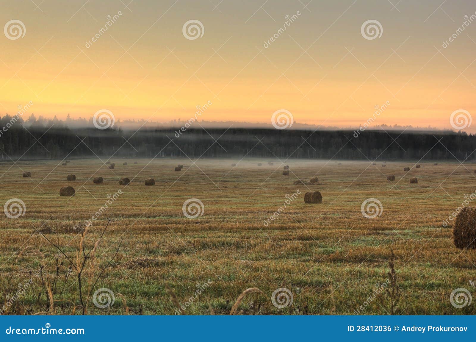Slanted field. Hay piles. stock photo. Image of feeding - 28412036
