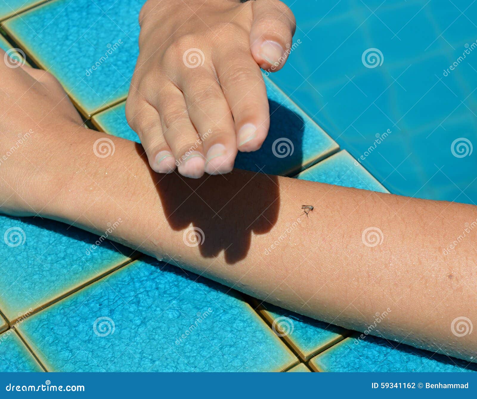 Slapping Mosquito at the Pool Stock Photo - Image of risk, gnat: 59341162