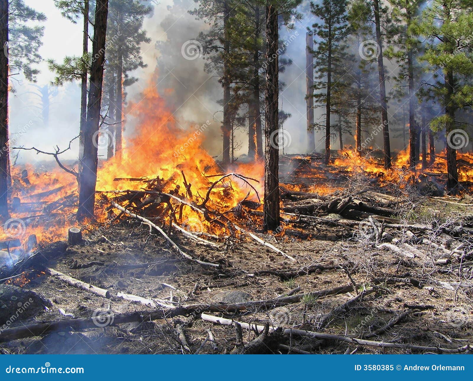 Slash stock image. Image of burned, combustion, flame - 3580385