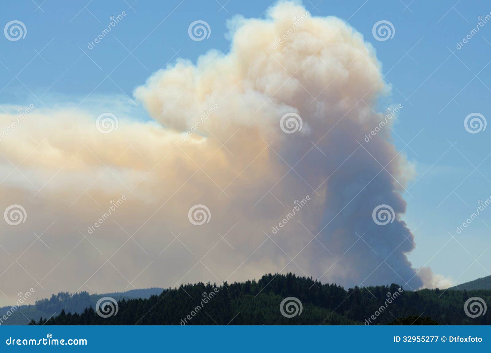 Slash Fire stock image. Image of disaster, wood, gray - 32955277