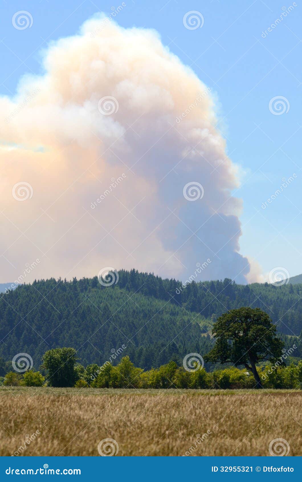 Slash Fire stock image. Image of disaster, burnt, destroy - 32955321