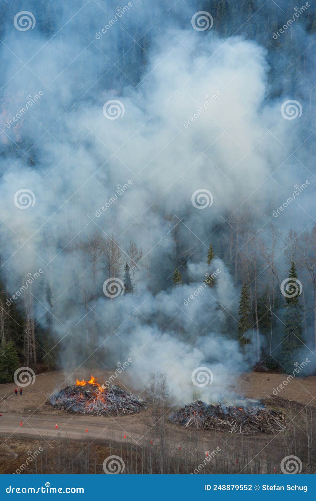 Slash Pile Burning stock photo. Image of debris, burned - 248879552