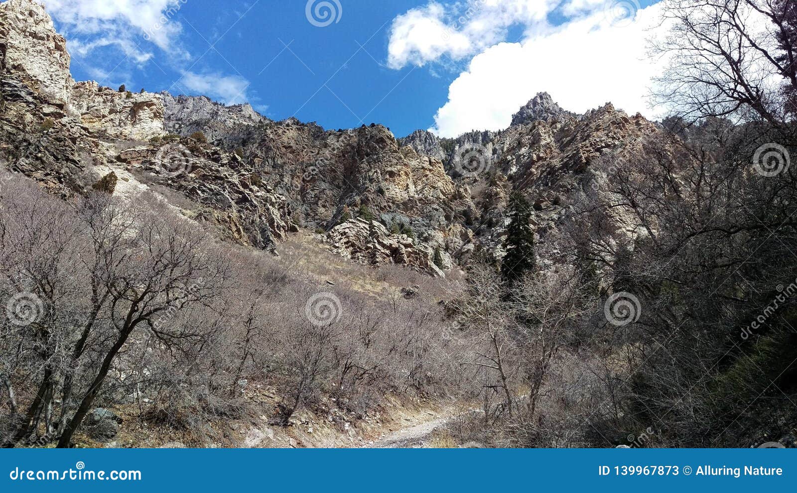 Slate Canyon Cliffs and Trees Stock Image - Image of slate, cliff ...