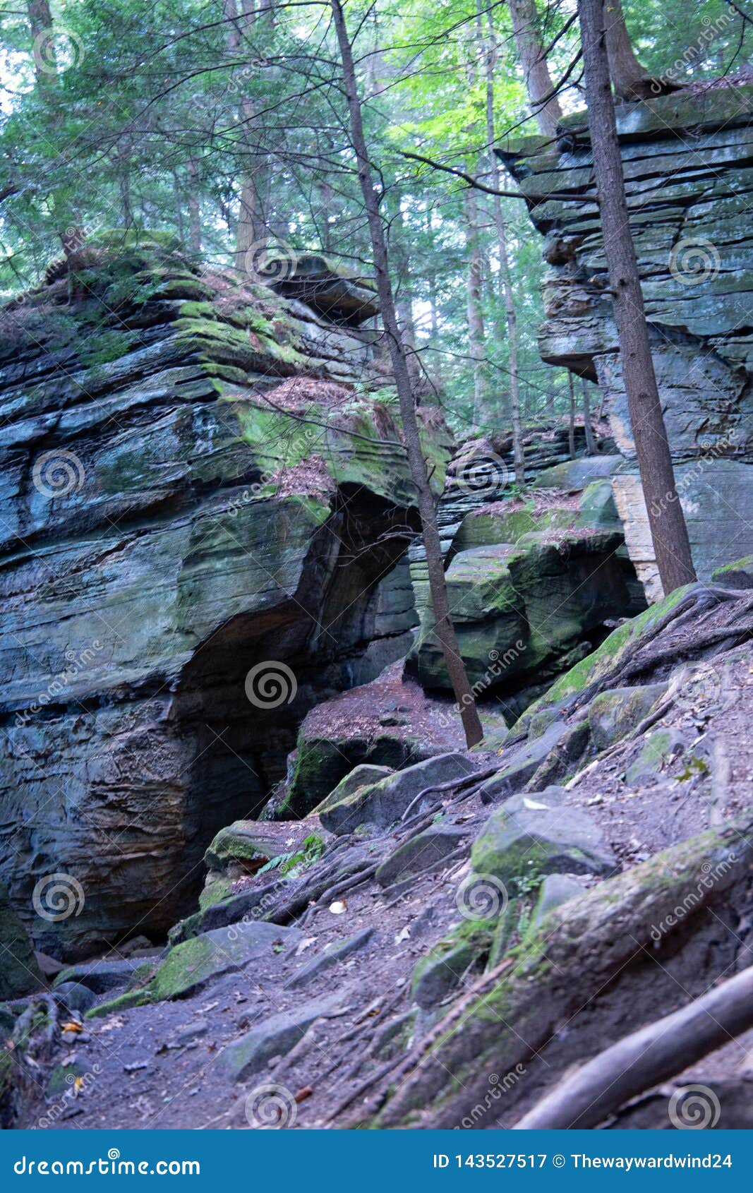 Slate cliffs in the forest stock image. Image of pale - 143527517
