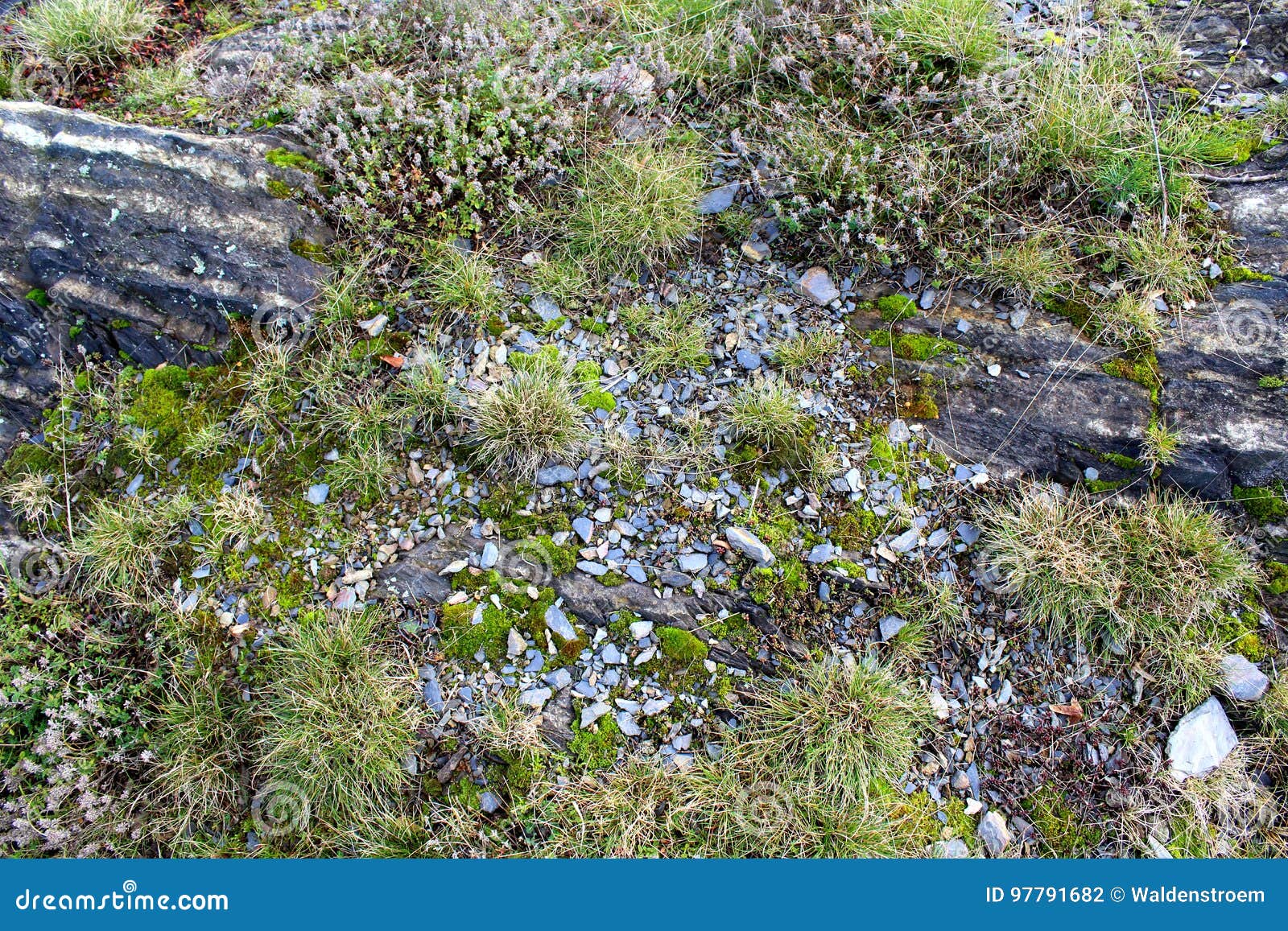 Slate Rock Background Texture Stock Photo - Image of slate, material ...
