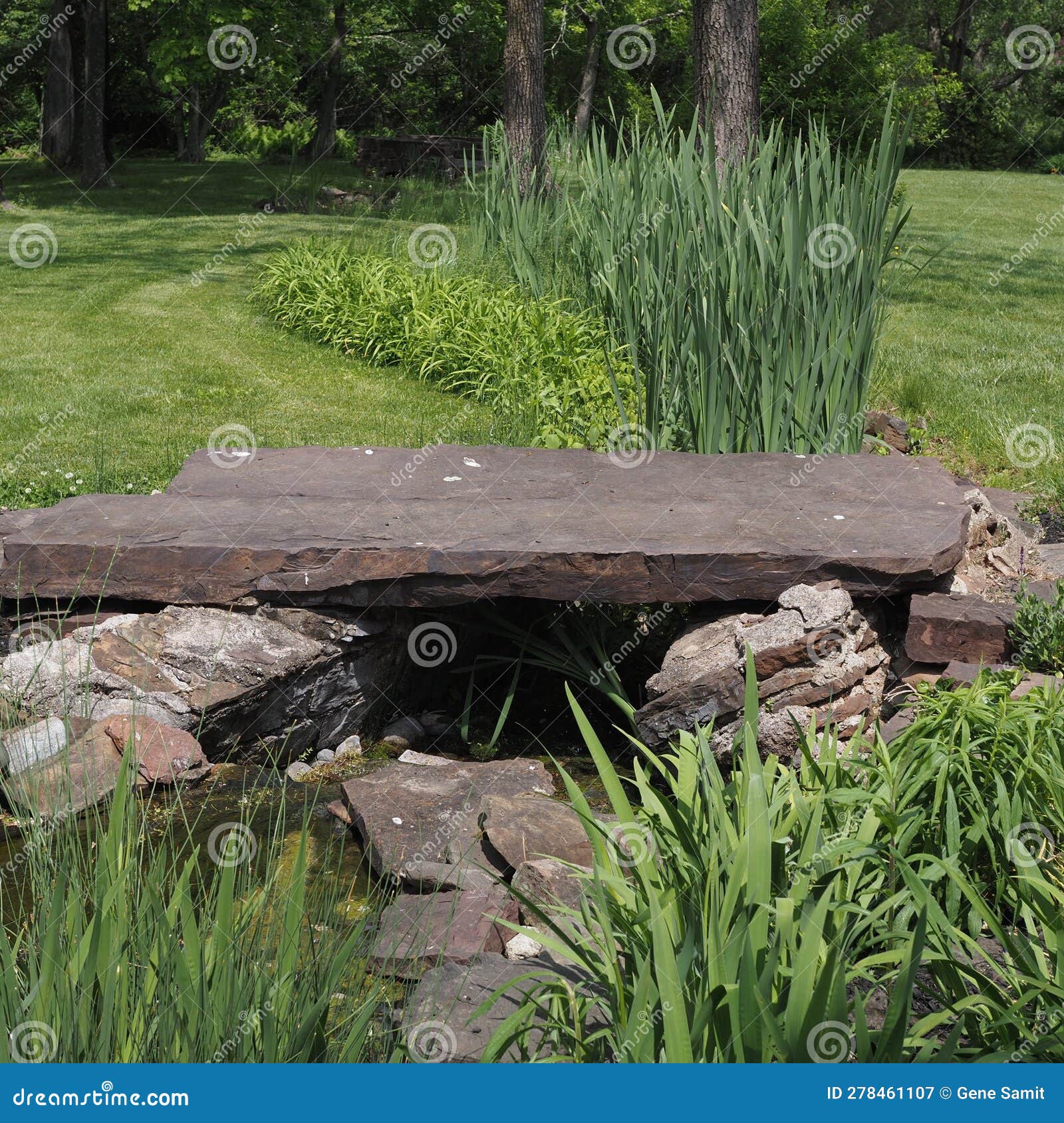A Small Slate Rock is the Bridge Over this Stream. Stock Image - Image ...