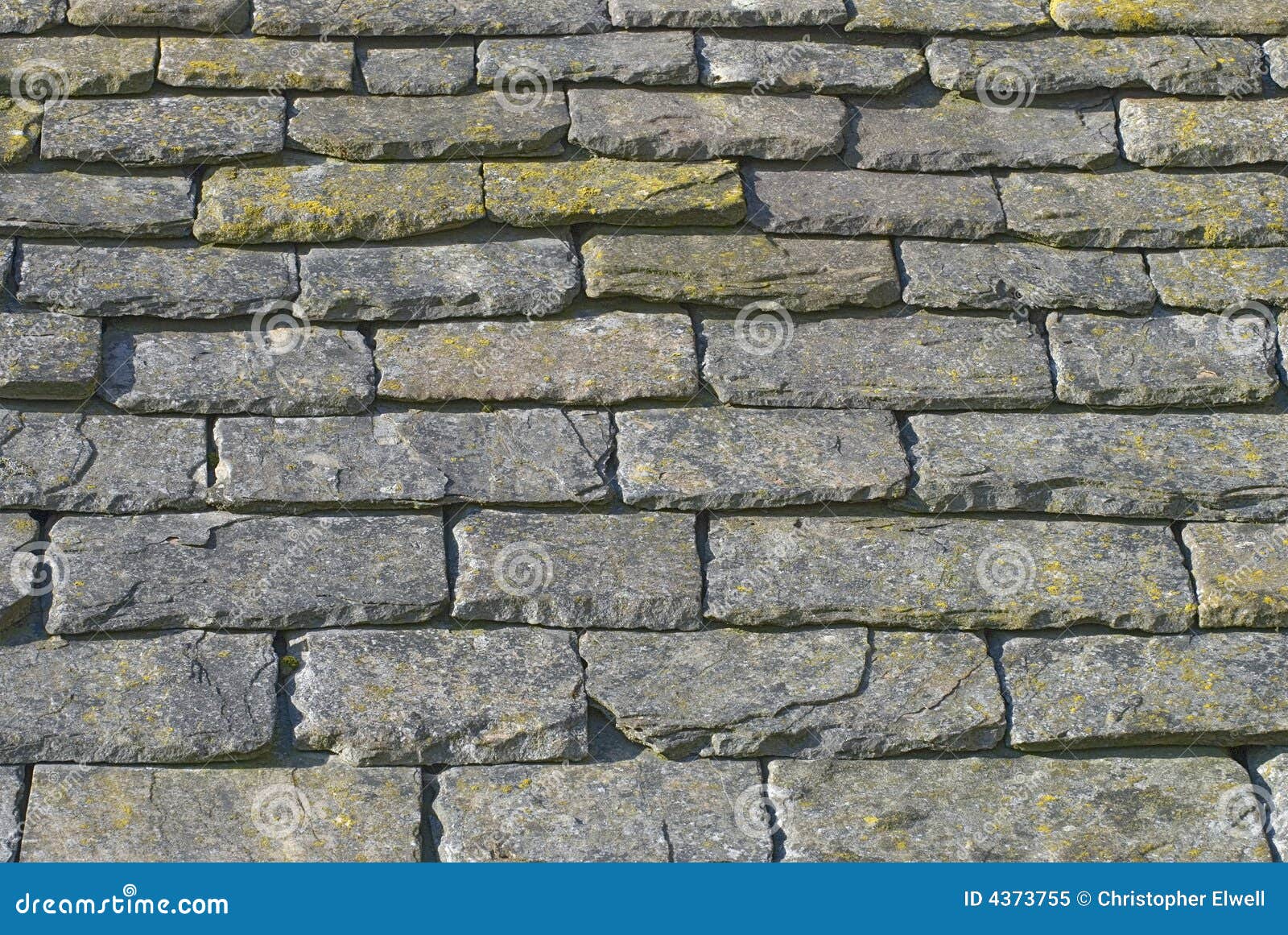 Weathered Slate Roof Tiles Background Stock Photo | CartoonDealer.com ...