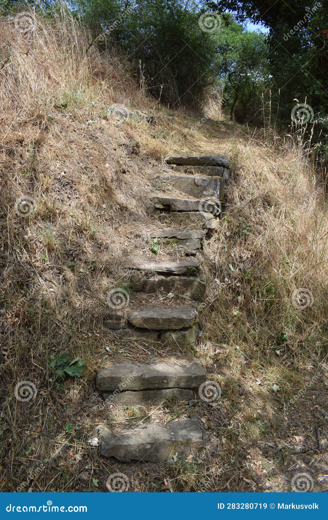 Slate Stairway of a Hiking Trail Stock Image - Image of tree, ruins ...