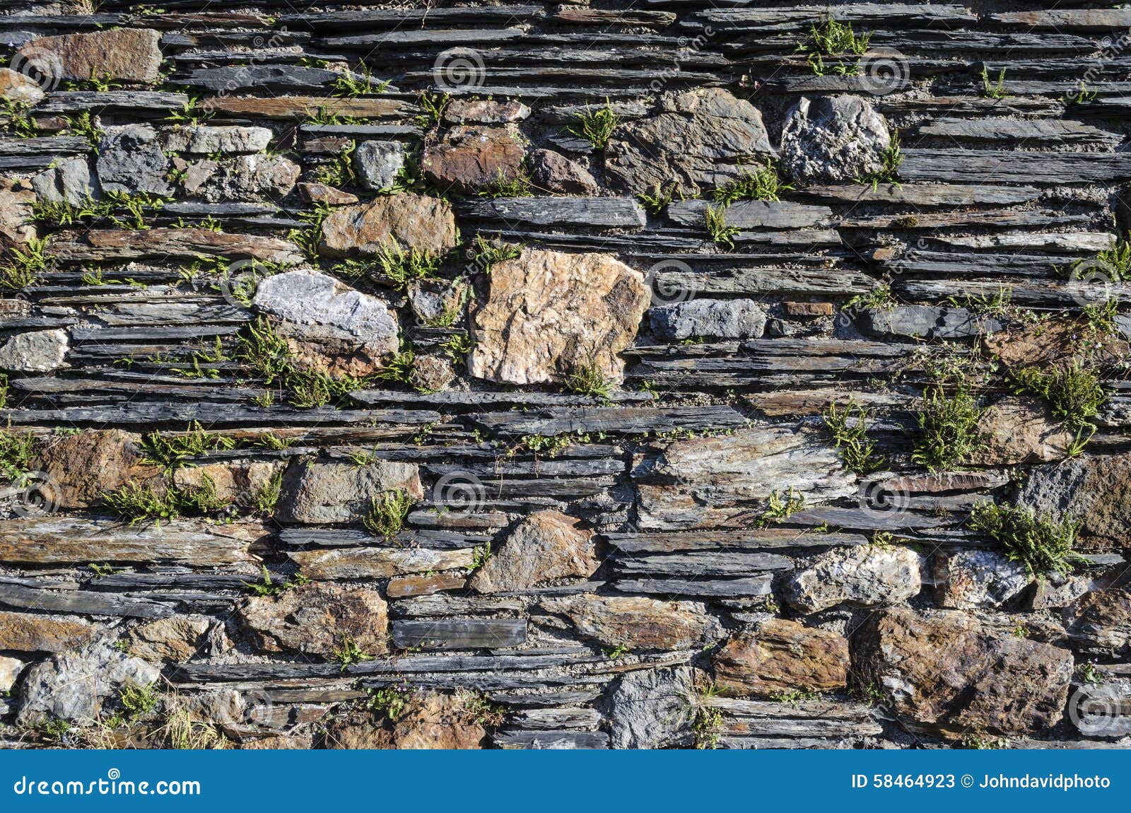 Slate wall stock image. Image of flowers, texture, stones - 58464923
