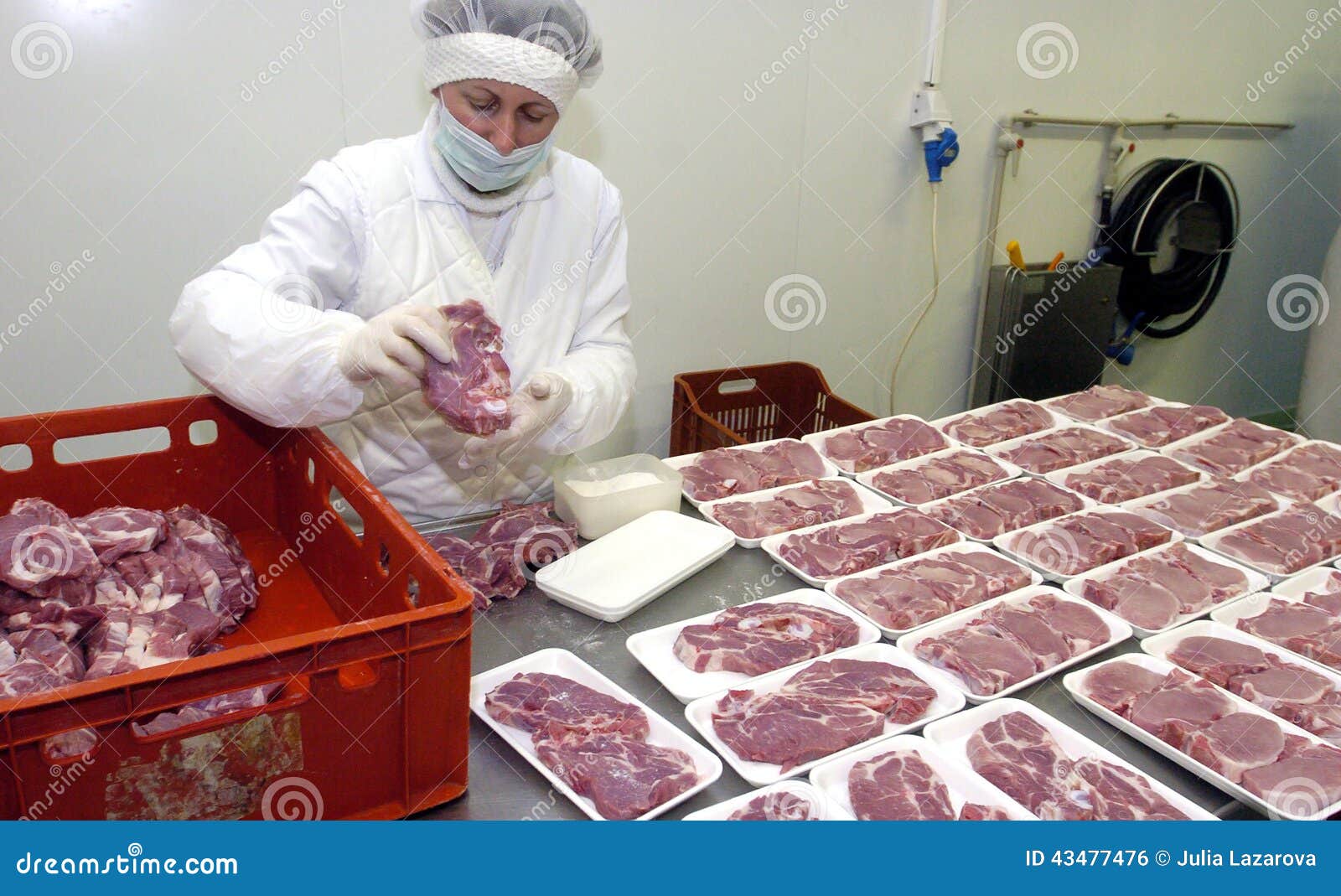Slaughterhouse Workers in the Refrigerator Editorial Photo - Image of ...