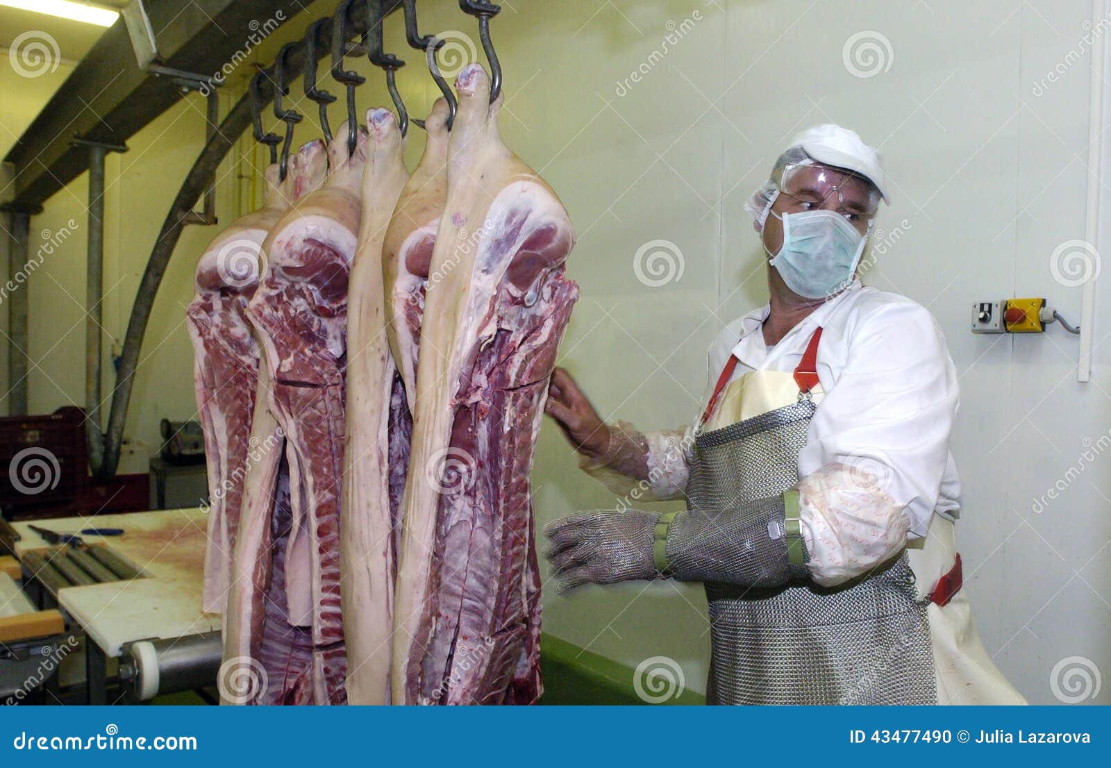 Slaughterhouse Workers in the Refrigerator Editorial Image - Image of ...