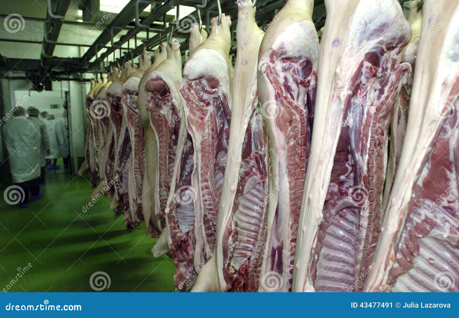 Slaughterhouse Workers in the Refrigerator Editorial Photo - Image of ...