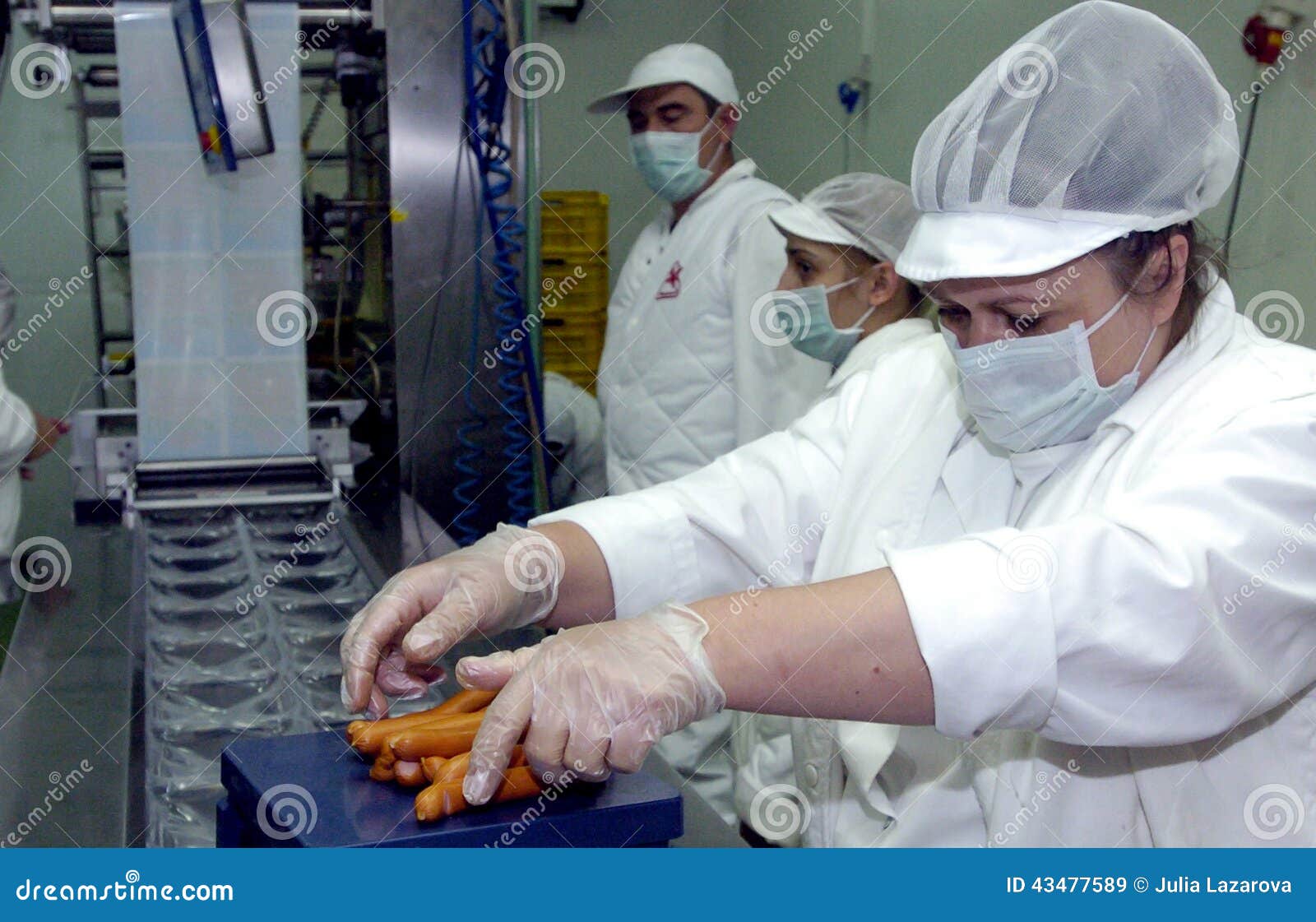 Slaughterhouse Workers in the Refrigerator Editorial Stock Image ...