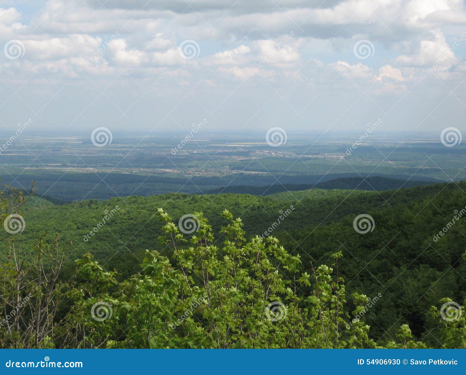 Slavonia stock photo. Image of fertile, plains, croatian - 54906930