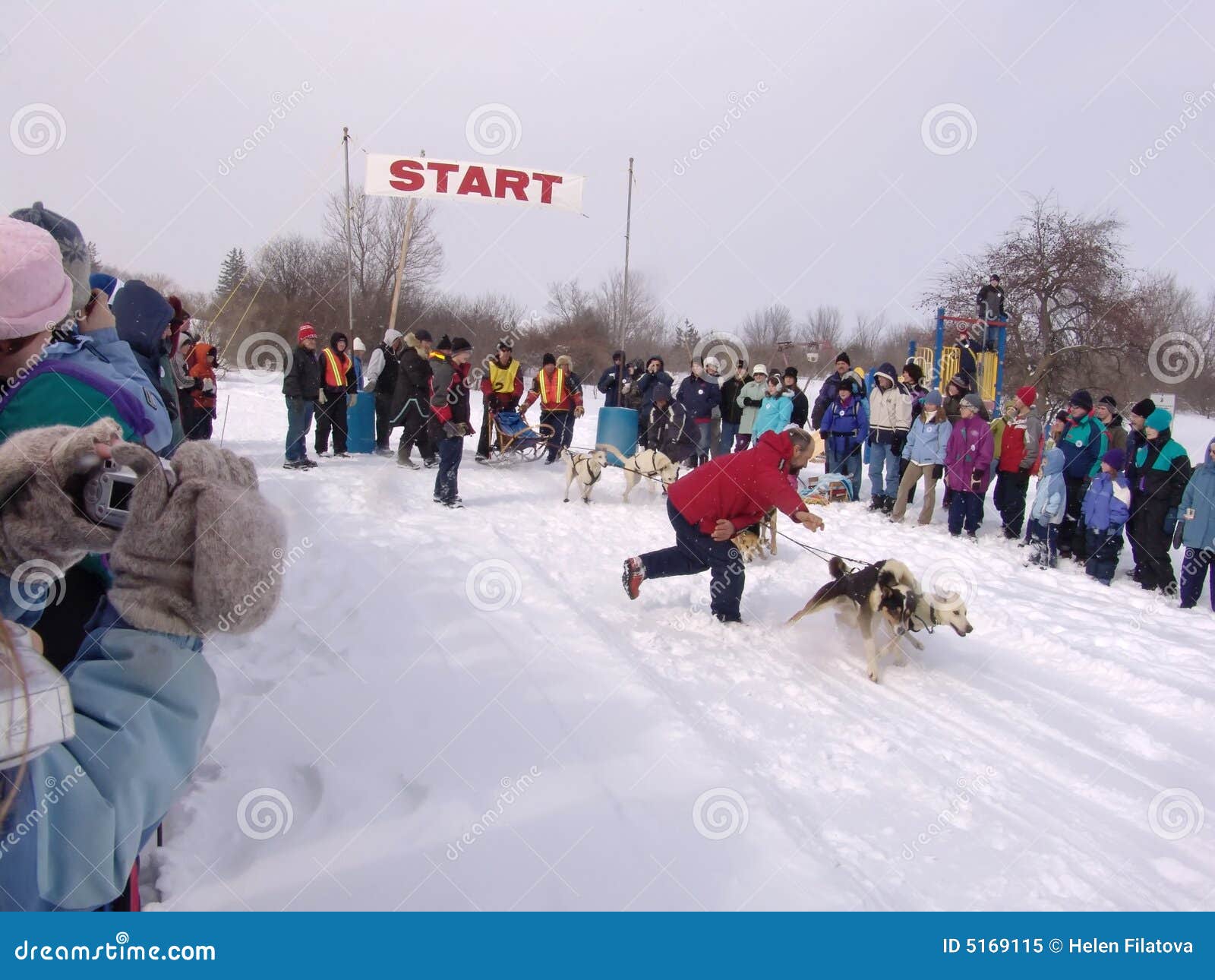 Sled Dog Racing editorial image. Image of competition - 5169115