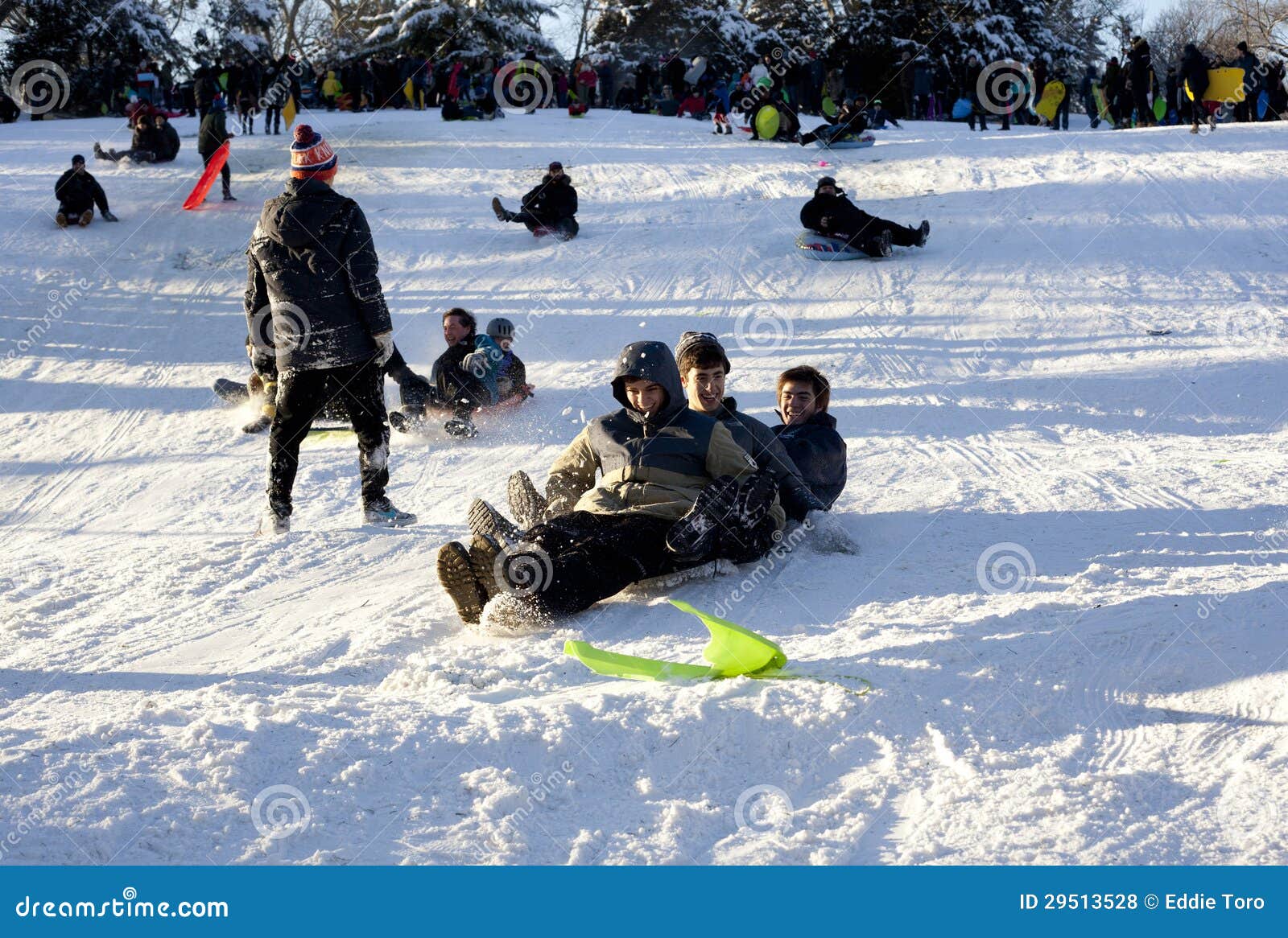 Sled Riding in Central Park after Snow Storm Nemo Editorial Stock Photo ...