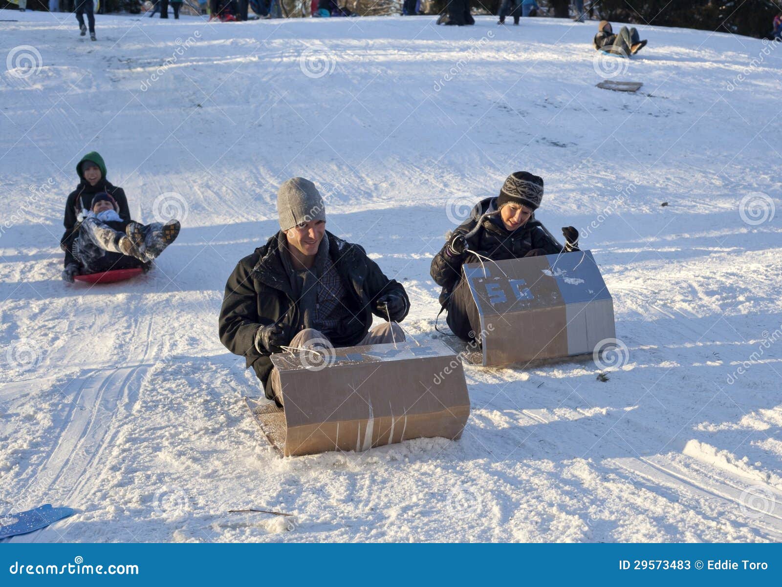 Sled Riding in Central Park after Snow Storm Nemo Editorial Stock Photo ...