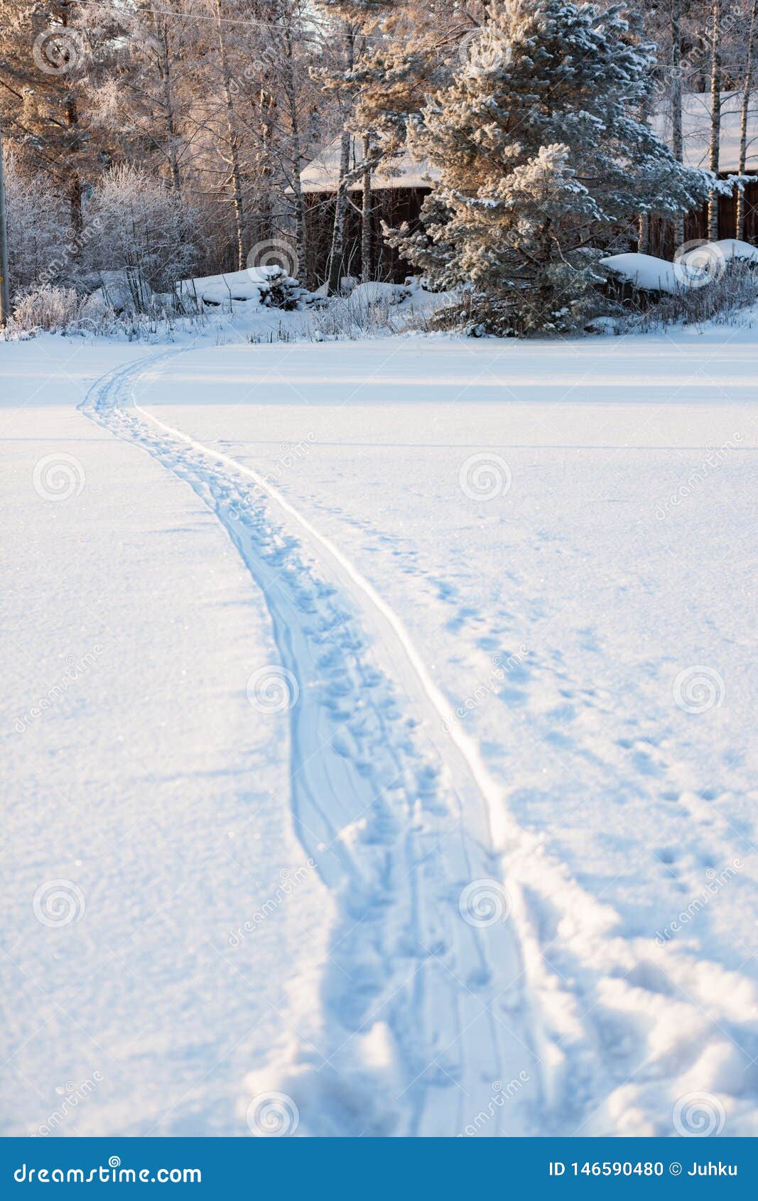 Sled Track in Snow at Winter Day Stock Photo - Image of snow, outdoor ...