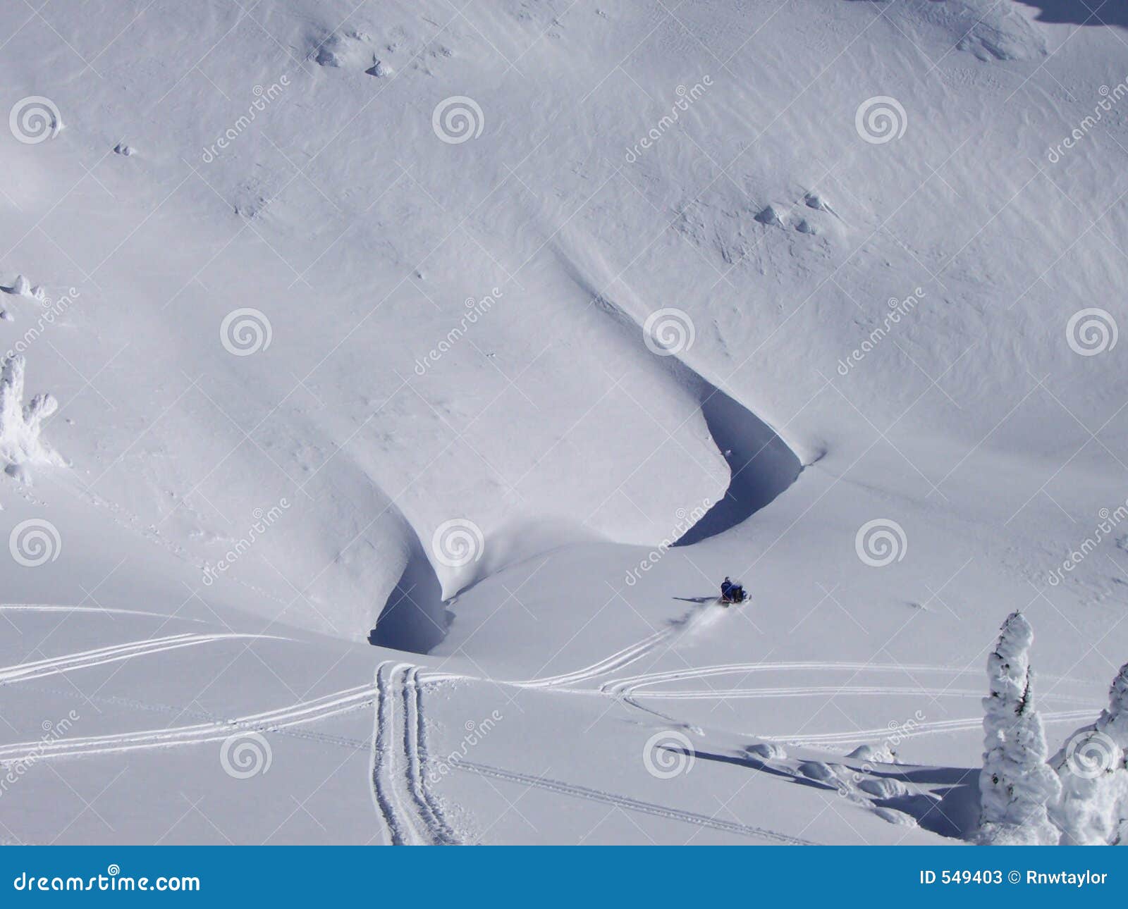 Sled Tracks Picture. Image: 549403