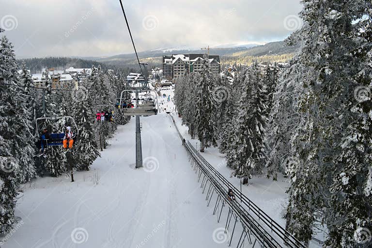 Sledding on the rails editorial stock photo. Image of sledding - 173041903