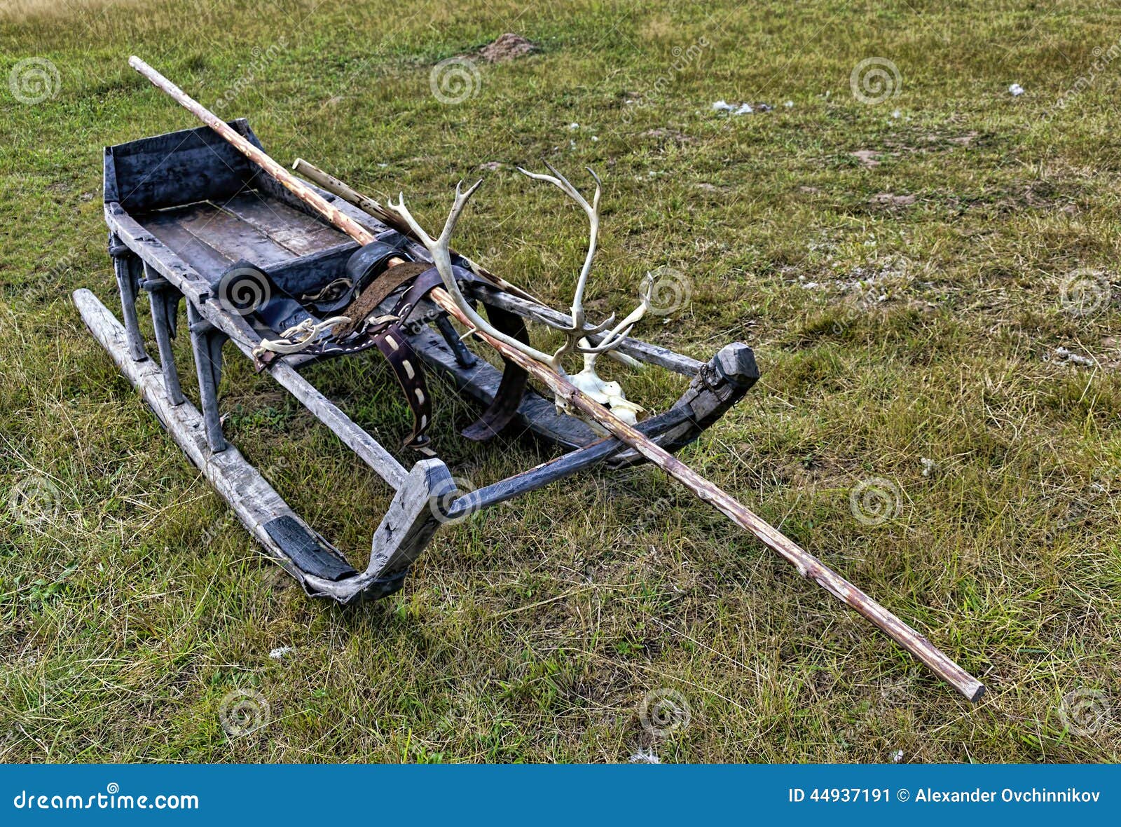 Sledge on a Meadow in the Summer Stock Image - Image of preparation ...