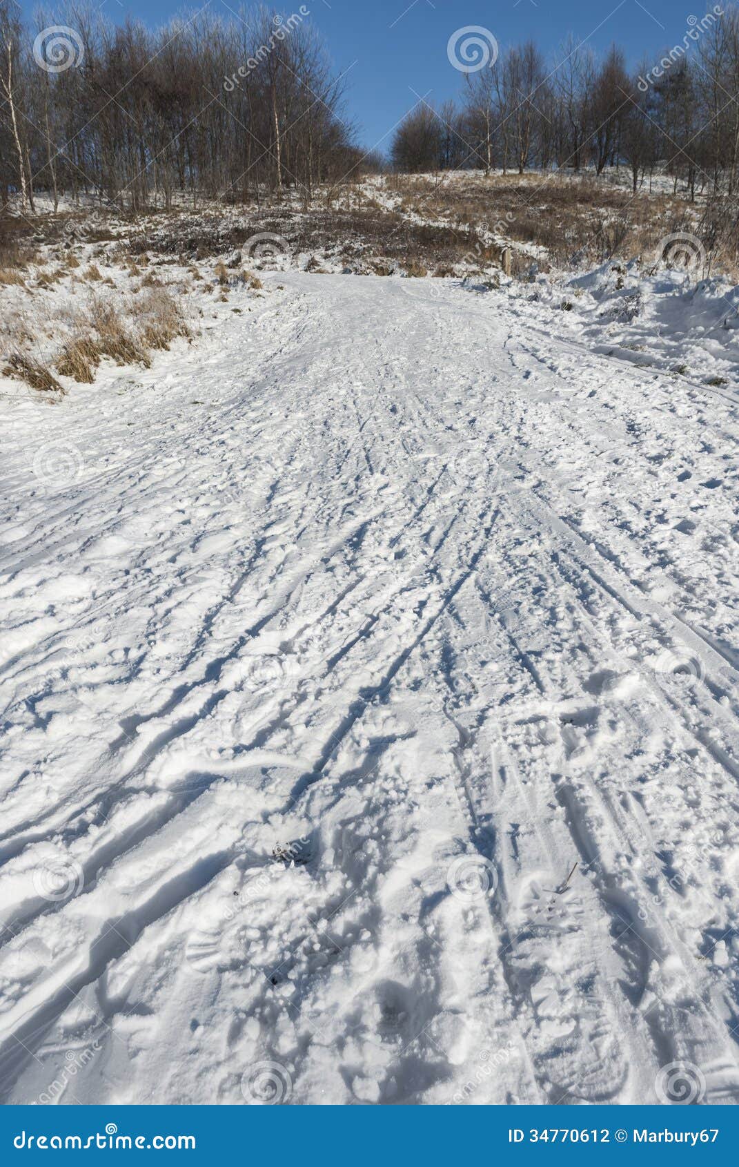 Sledge Run stock photo. Image of road, forest, tracks - 34770612