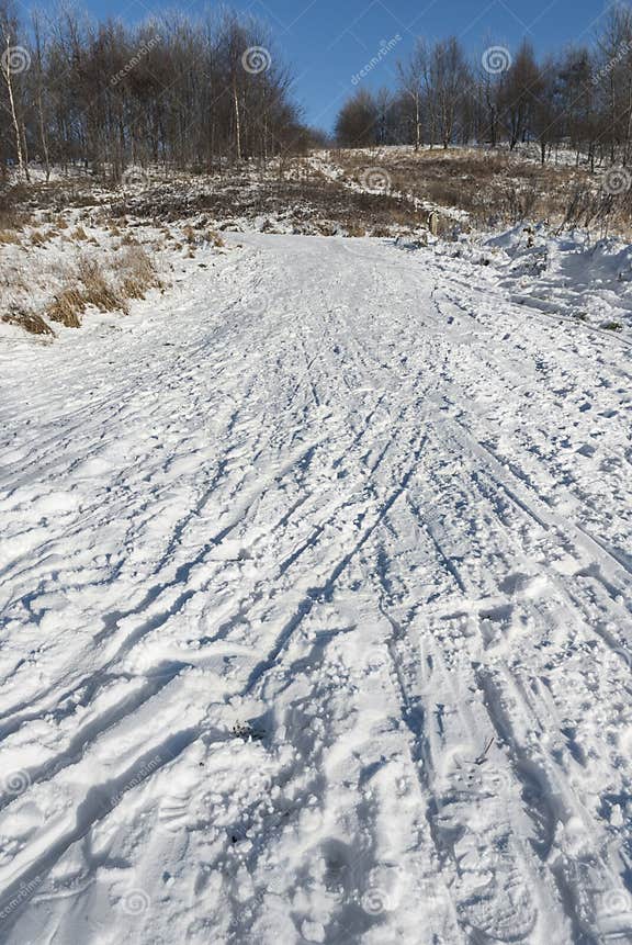 Sledge Run stock photo. Image of road, forest, tracks - 34770612