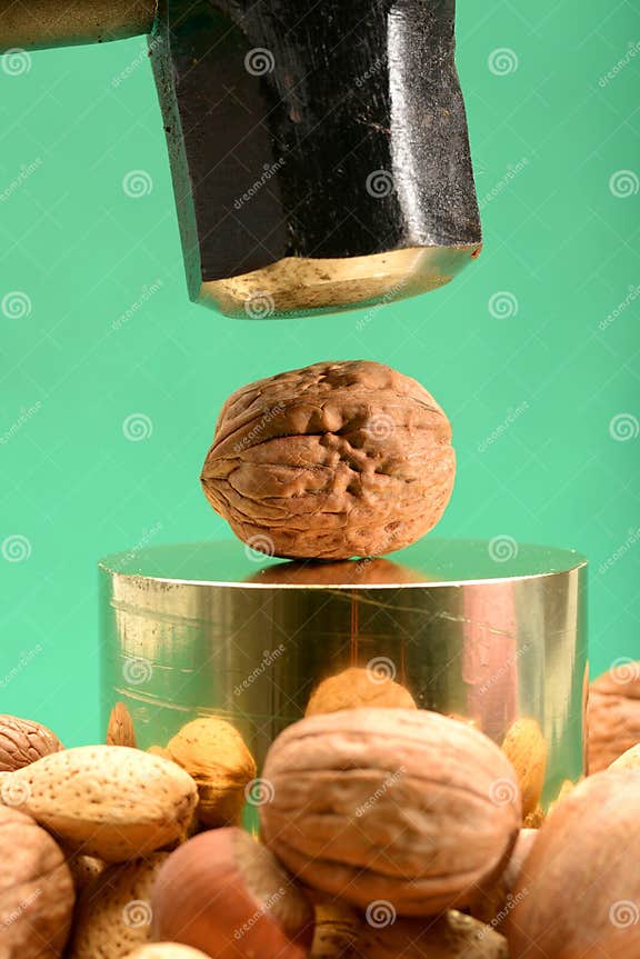 Sledgehammer To Crack a Nut 5 Stock Image - Image of baking, problem ...