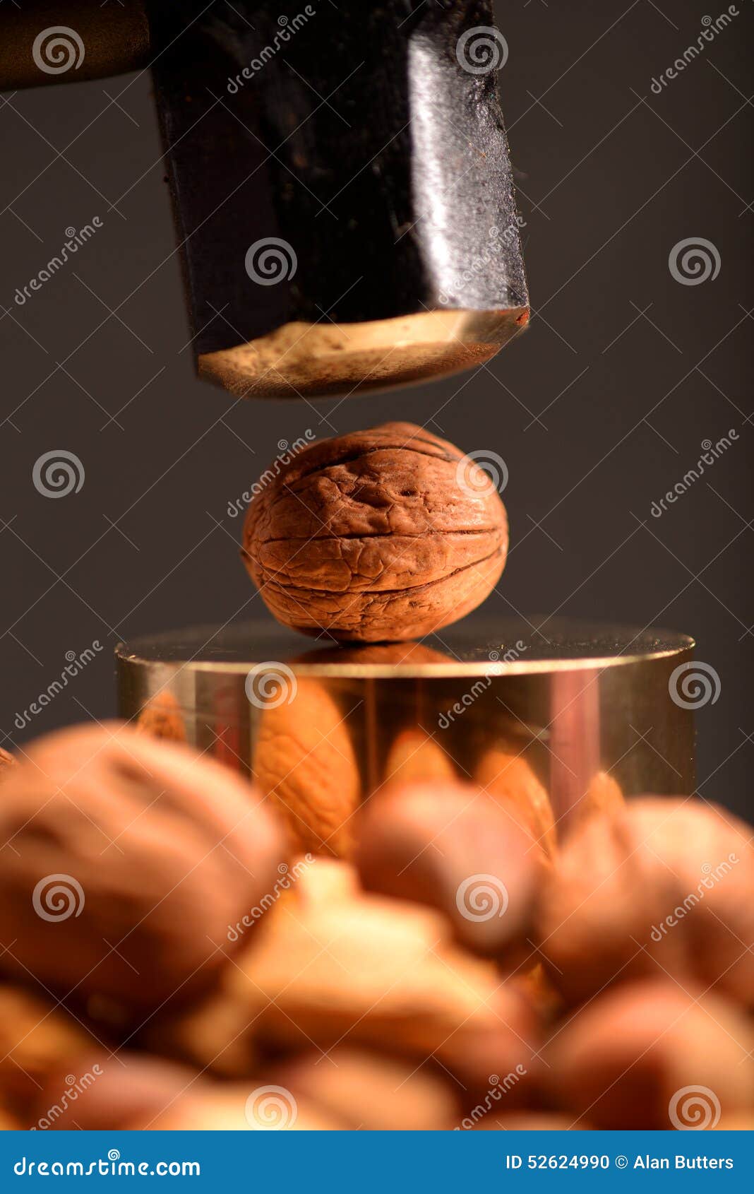 Sledgehammer To Crack a Nut 2 Stock Photo - Image of baking, shells ...