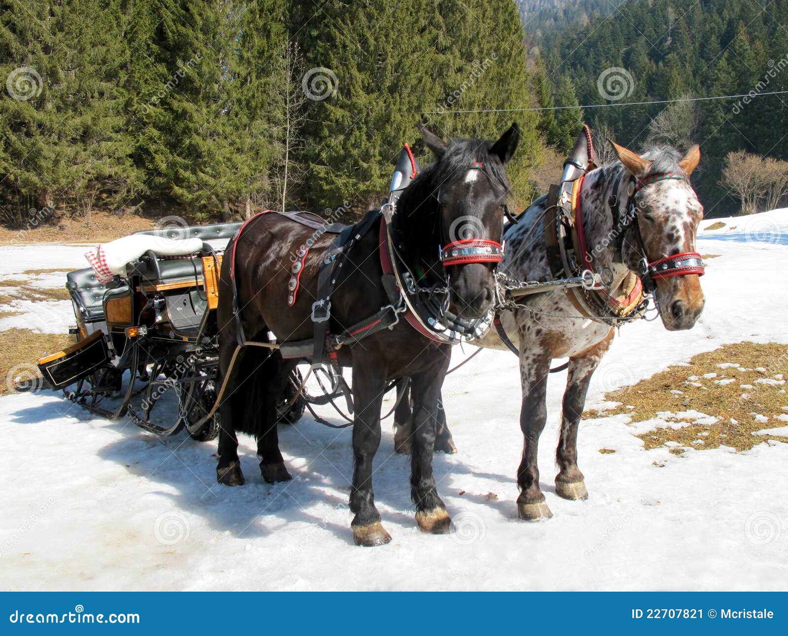 Sledges, troika stock image. Image of equestrian, winter - 22707821