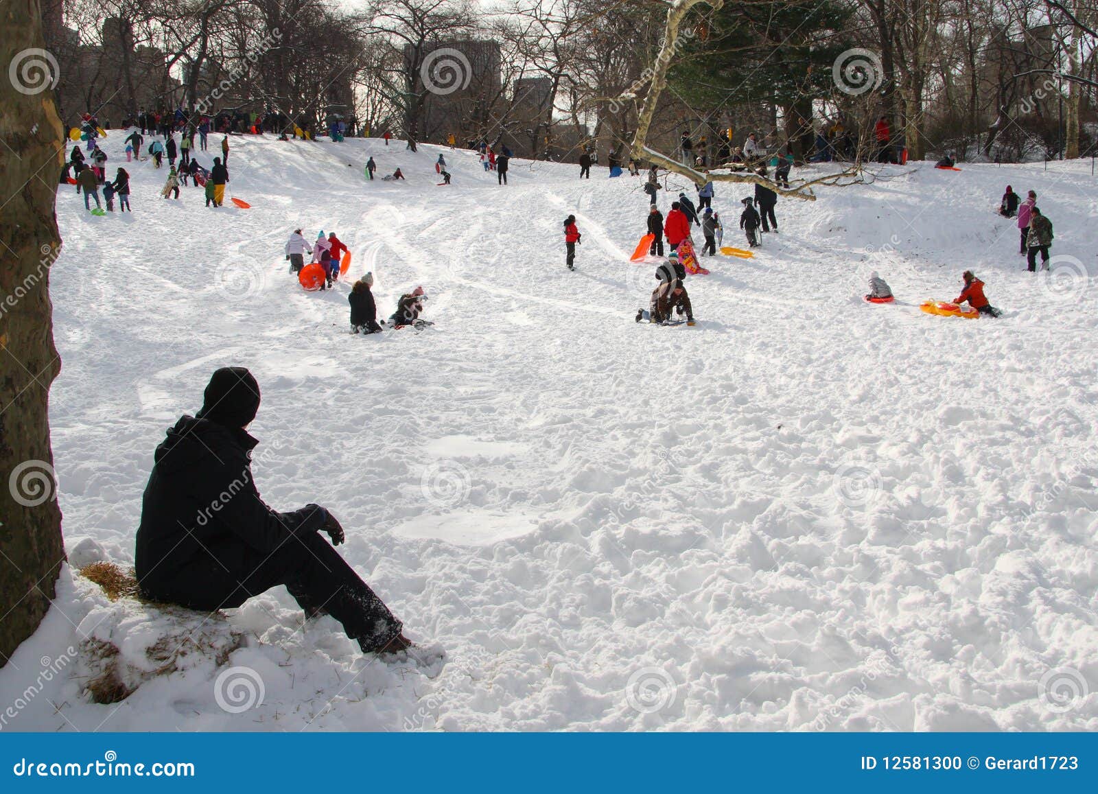 Sledging in Central Park editorial image. Image of sleigh - 12581300