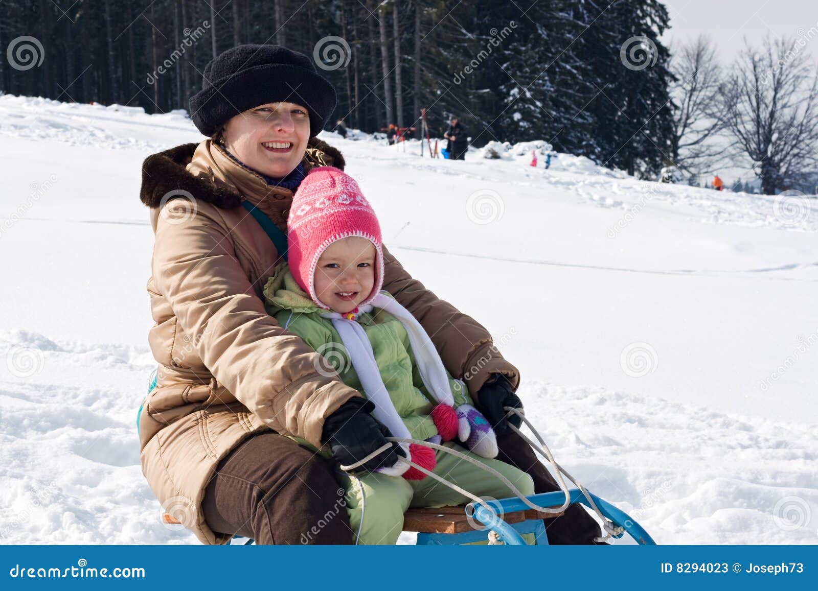 Sledging at winter time stock image. Image of outdoor - 8294023
