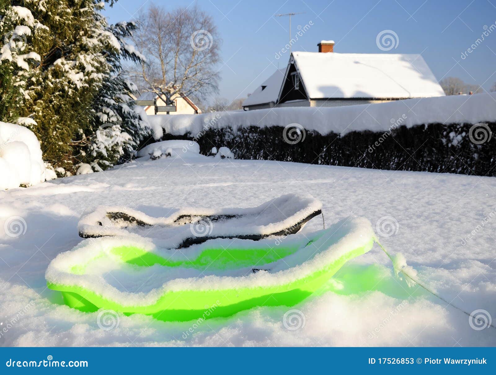 Sleds ready to start stock image. Image of together, minus - 17526853