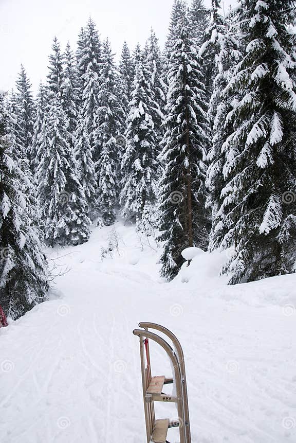 Slee stock afbeelding. Image of actie, landschap, sneeuw - 13142401