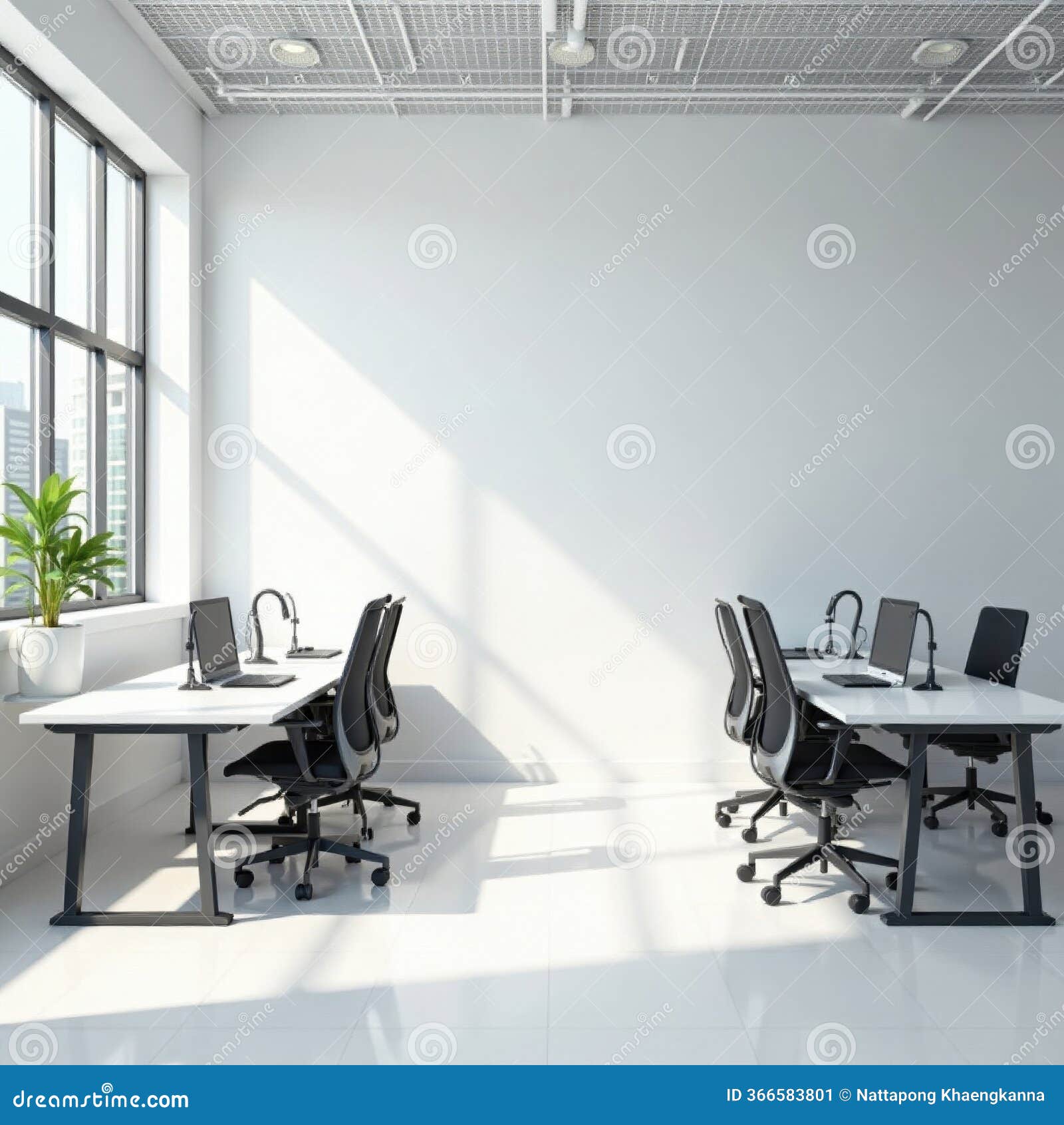 Office Workstations Divided Into Sectors With Ethernet Cables Stock ...