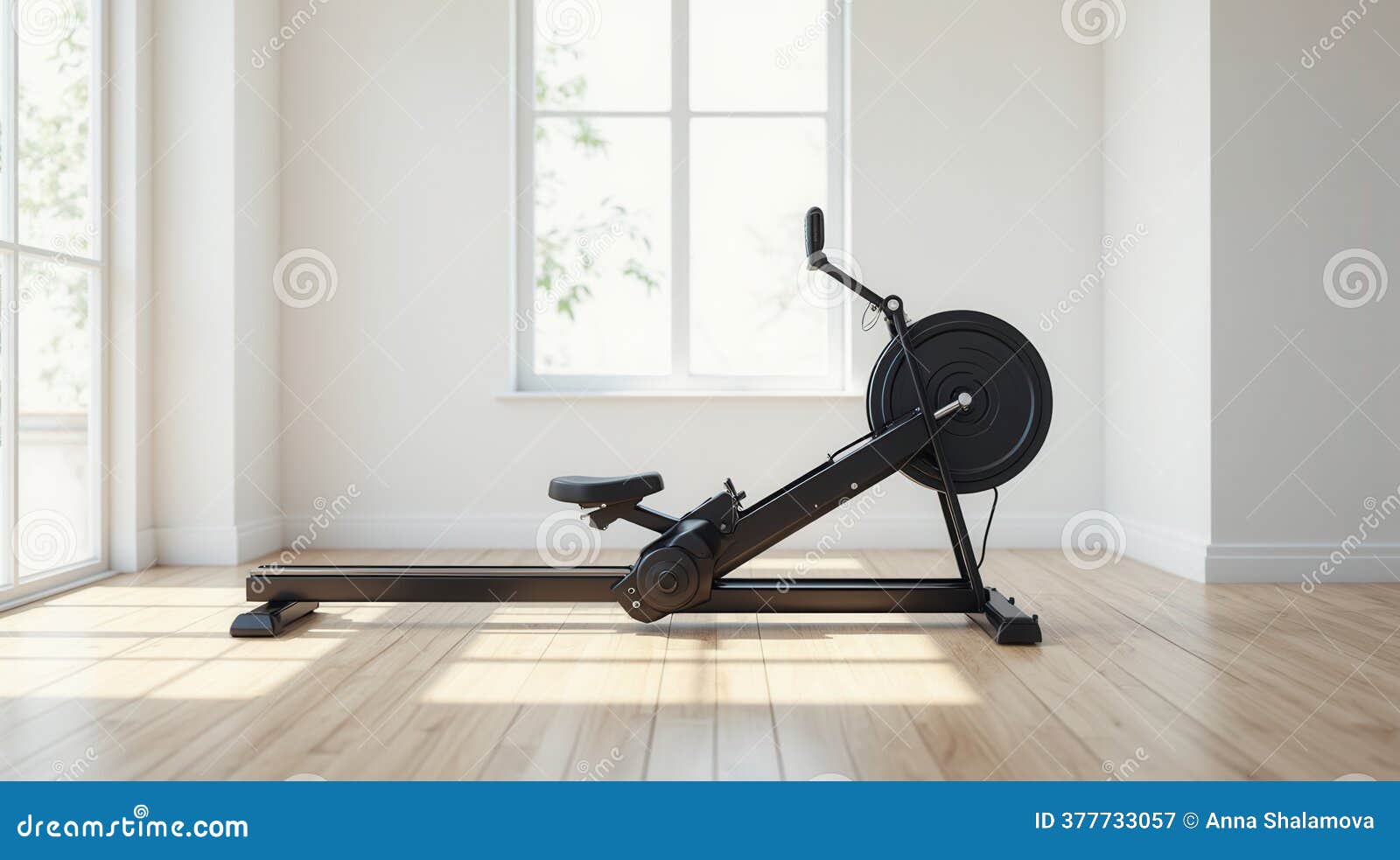 Sunlit Minimalist Empty Room With Green Wall And Wooden Floor Stock ...