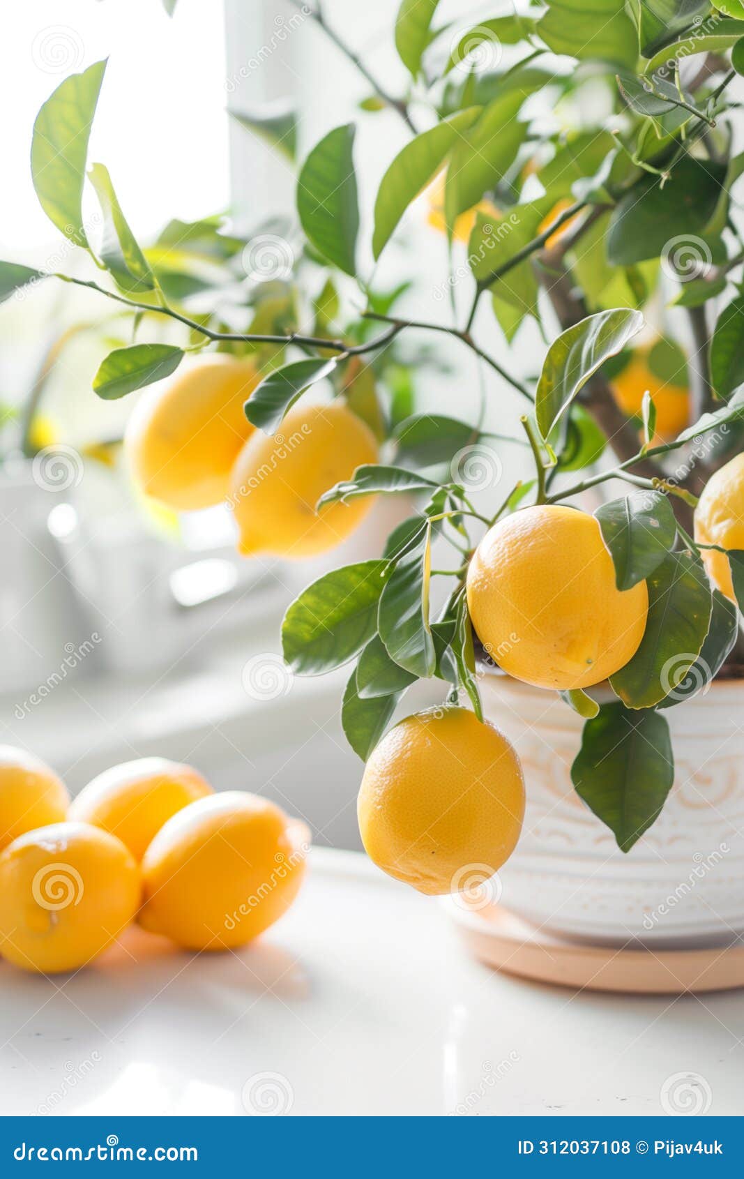 Modern Minimalistic White Kitchen Interior with Quartz Countertop and ...
